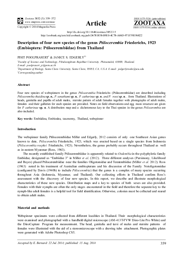 (PDF) Description of four new species of the genus Ptilocerembia ...