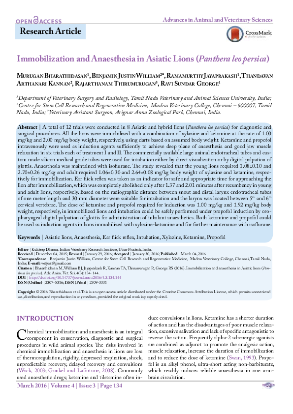 (PDF) Immobilization and Anaesthesia in Asiatic Lions (Panthera leo ...