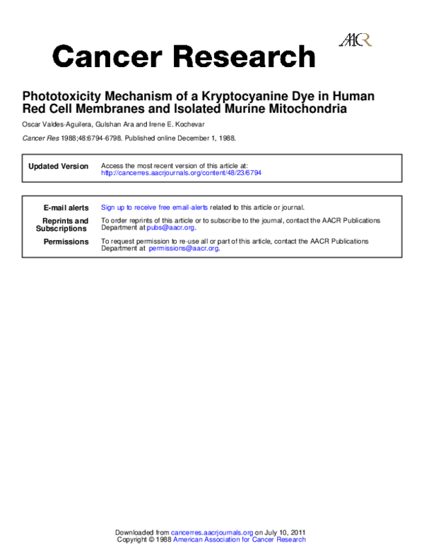 (PDF) Phototoxicity mechanism of a kryptocyanine dye in human red cell ...