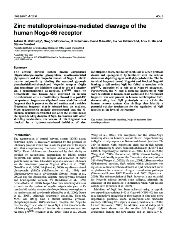 (PDF) Zinc metalloproteinase-mediated cleavage of the human Nogo-66 ...