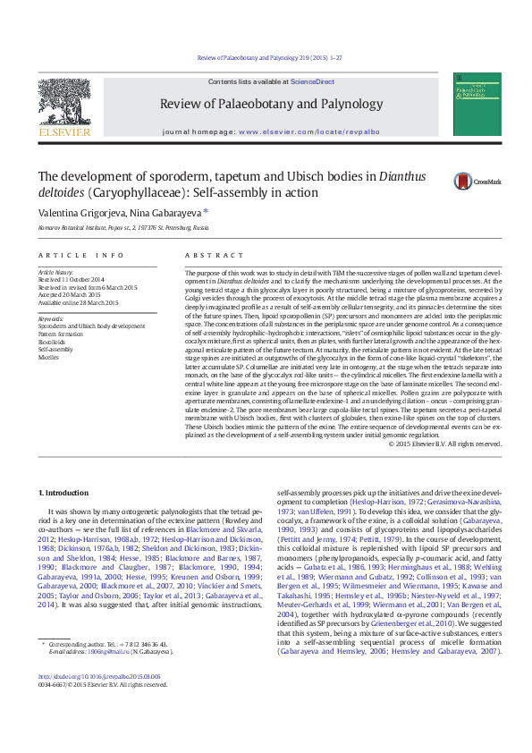 (PDF) The development of sporoderm, tapetum and Ubisch bodies in ...