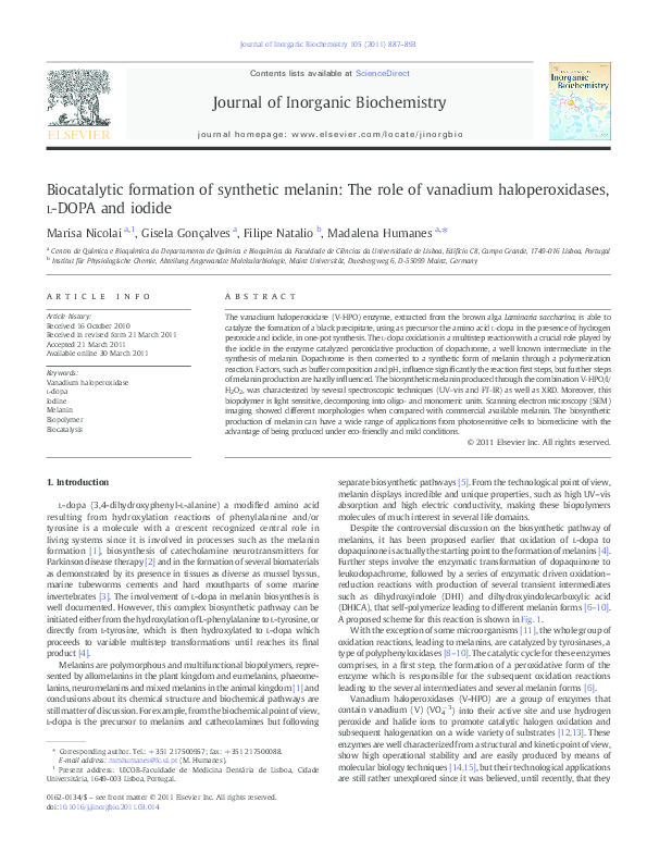 (PDF) Biocatalytic formation of synthetic melanin: The role of vanadium ...
