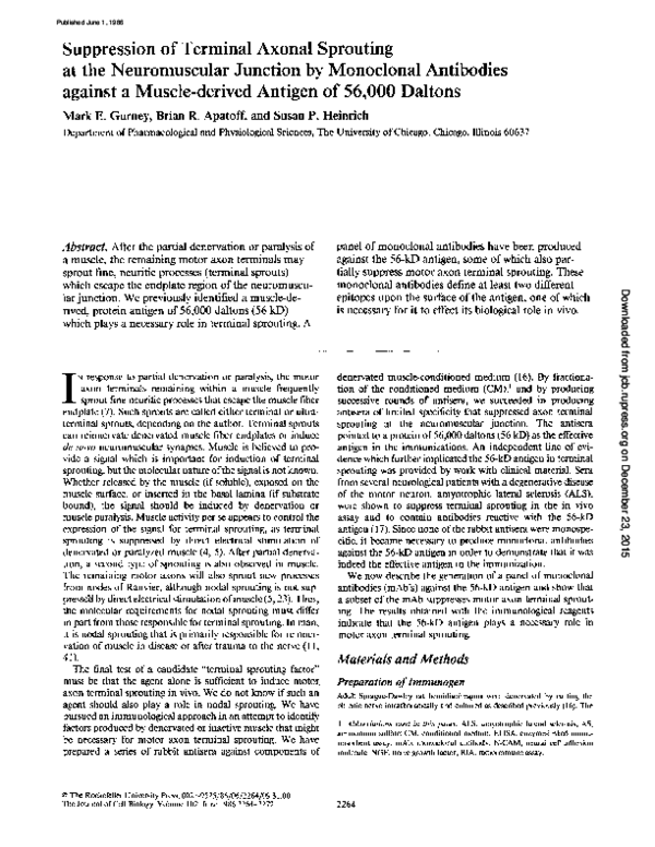 (PDF) Suppression of terminal axonal sprouting at the neuromuscular ...