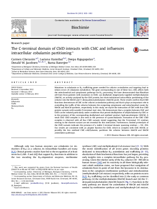 (PDF) Molecular mechanisms leading to three different phenotypes in the cblD defect of ...