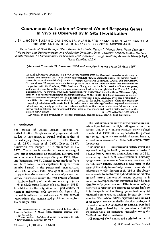 (PDF) Coordinated activation of corneal wound response genes in vivo as ...