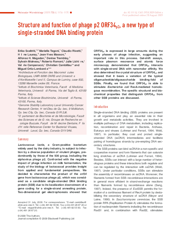 (PDF) Structure and function of phage p2 ORF34 p2 , a new type of ...
