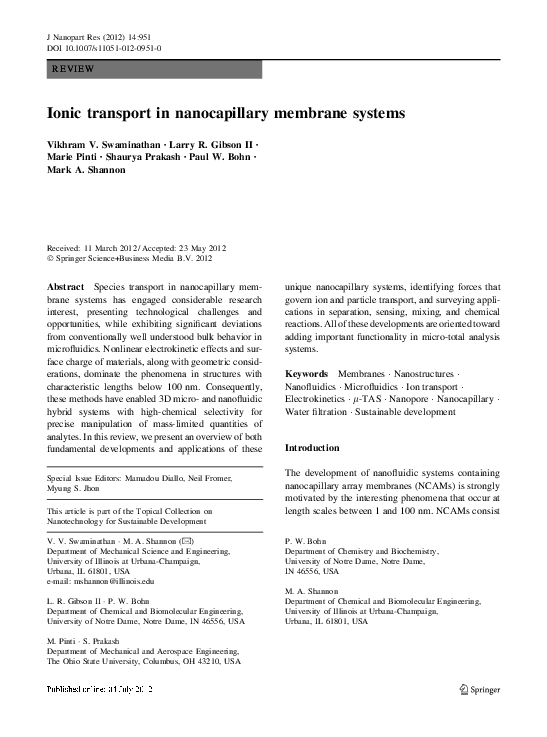 (PDF) Ionic transport in nanocapillary membrane systems