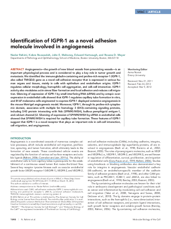(PDF) Identification of IGPR-1 as a novel adhesion molecule involved in ...