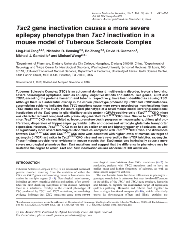 (PDF) Tsc2 gene inactivation causes a more severe epilepsy phenotype ...
