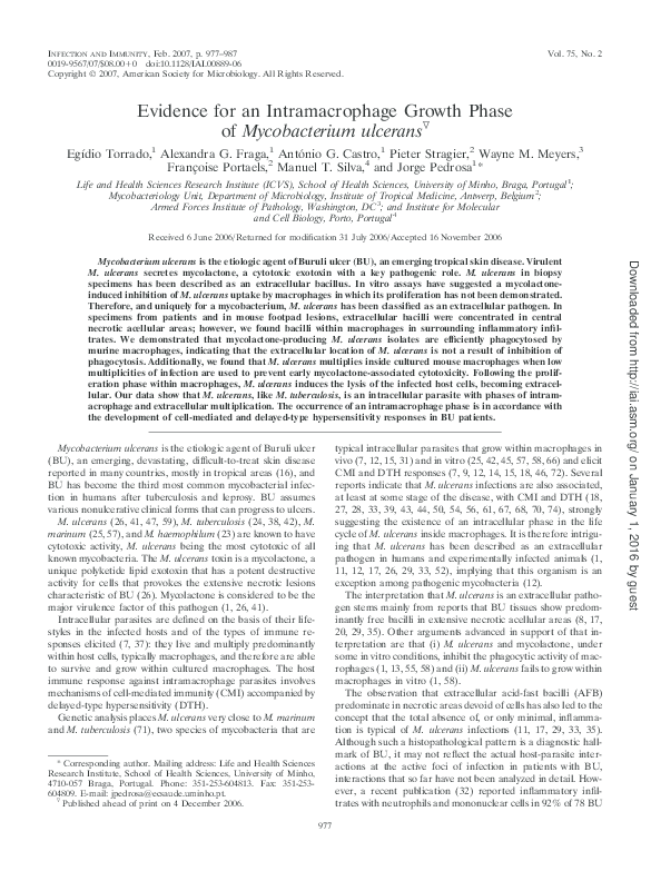 (PDF) Evidence for an Intramacrophage Growth Phase of Mycobacterium ...