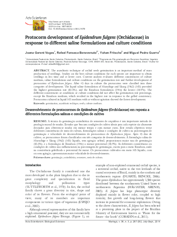 (PDF) Protocorm development of Epidendrum fulgens (Orchidaceae) in ...