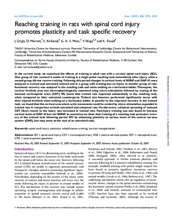 (PDF) Reaching training in rats with spinal cord injury promotes ...