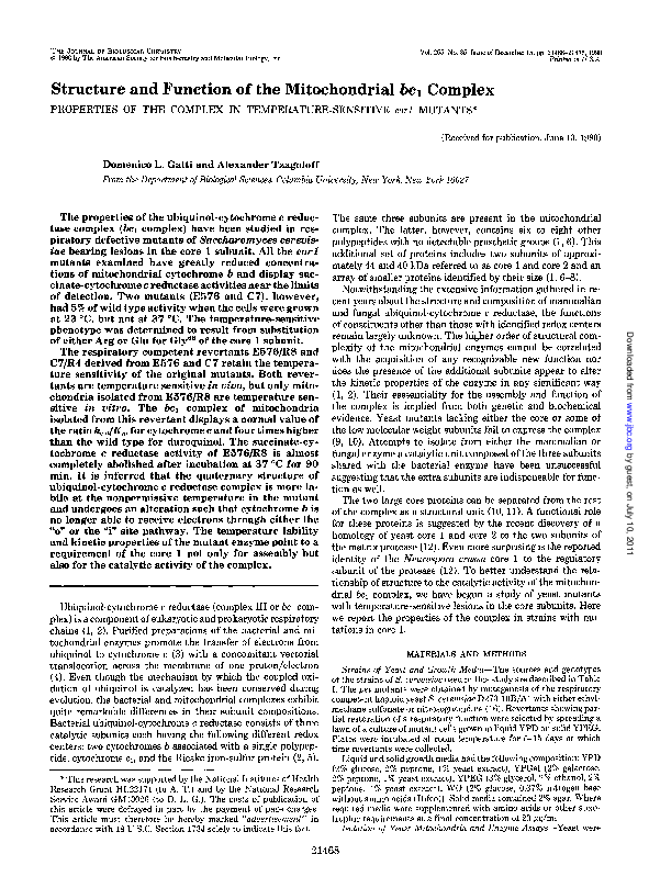 (PDF) Structure and function of the mitochondrial bc1 complex