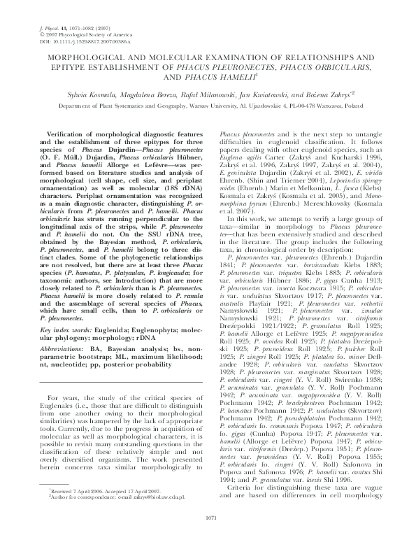 (PDF) Morphological and molecular examination of relationships and ...