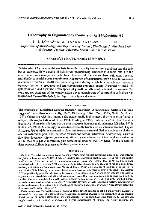 (PDF) Lithotrophy to Organotrophy Conversion in Thiobacillus A2