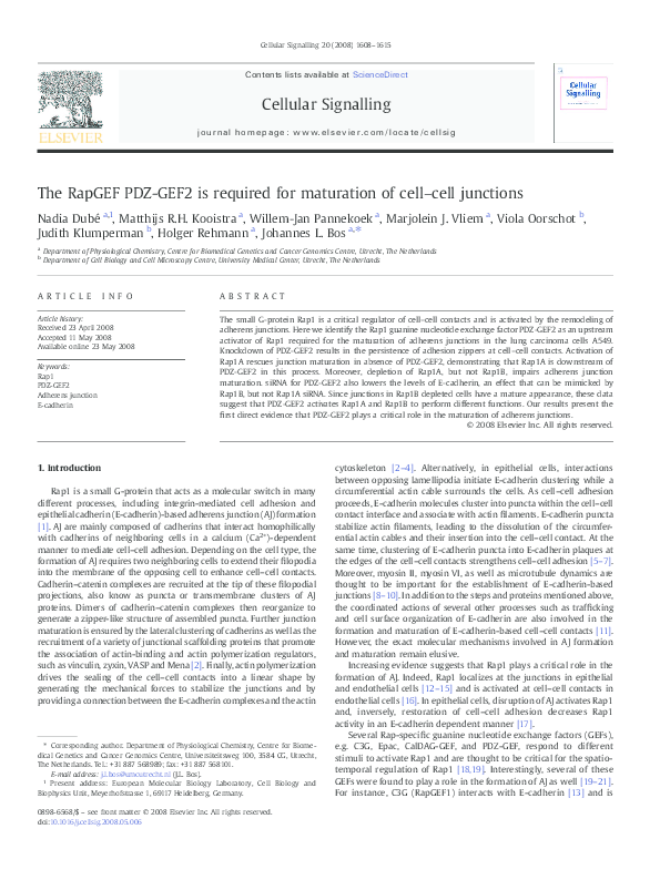 (PDF) The RapGEF PDZ-GEF2 is required for maturation of cell–cell junctions