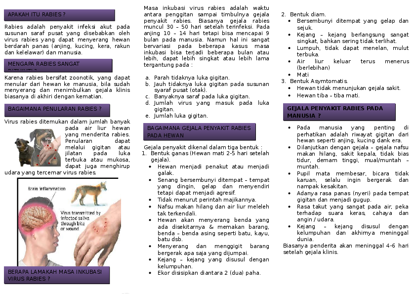 (DOC) Leaflet rabies