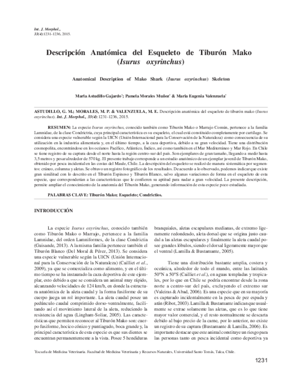 (PDF) Descripción Anatómica del Esqueleto de Tiburón Mako (Isurus ...