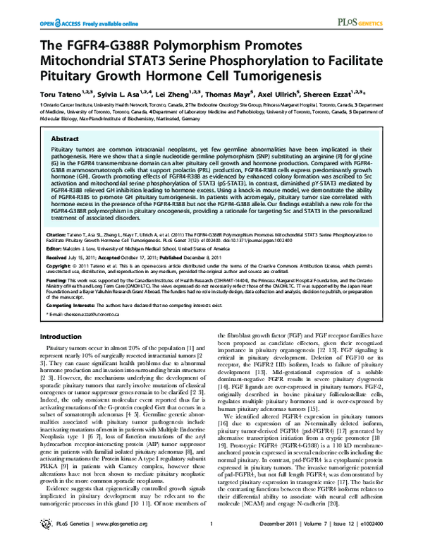 (PDF) The FGFR4-G388R Polymorphism Promotes Mitochondrial STAT3 Serine ...