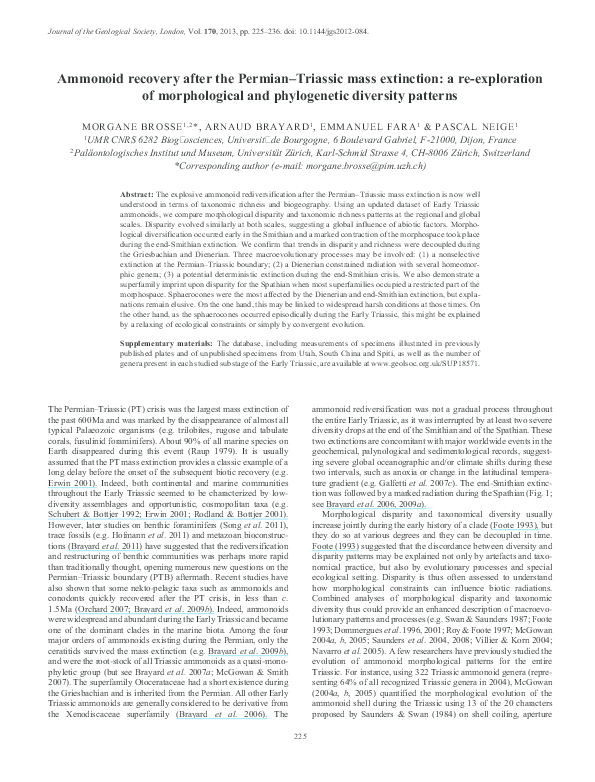 (PDF) Ammonoid recovery after the Permian-Triassic mass extinction: a ...
