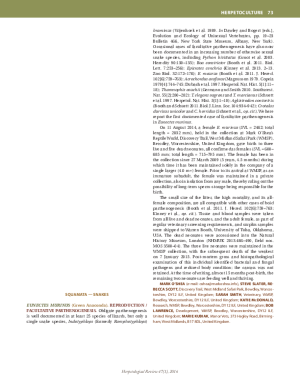 Eunectes murinus (Green Anaconda) Reproduction / Facultative ...