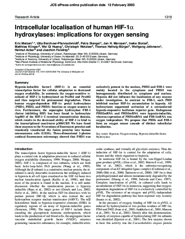 (PDF) Intracellular localisation of human HIF-1α hydroxylases:implications for oxygen sensing ...