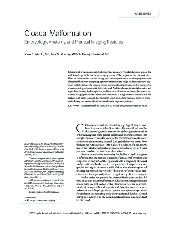 (PDF) Cloacal malformation: embryology, anatomy, and prenatal imaging ...
