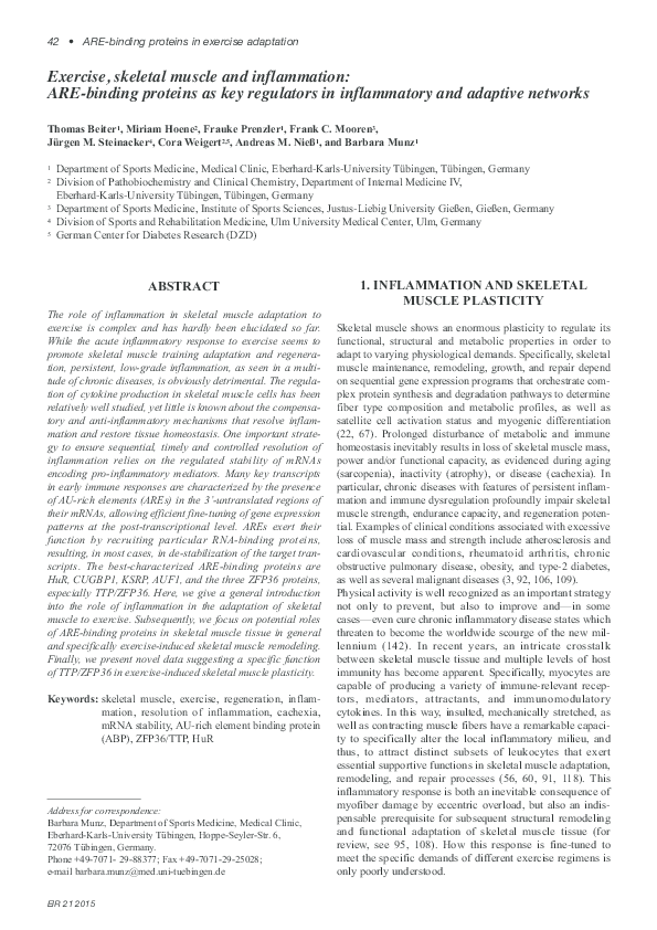 (PDF) Exercise, skeletal muscle and inflammation: ARE-binding proteins ...