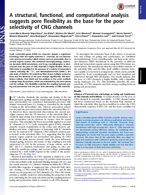 (PDF) A structural, functional, and computational analysis suggests pore flexibility as the base ...