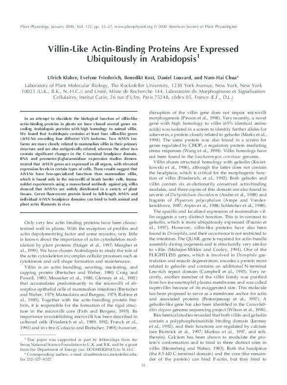 Pdf Villin Like Actin Binding Proteins Are Expressed Ubiquitously In
