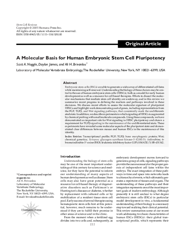(PDF) A Molecular Basis for Human Embryonic Stem Cell Pluripotency