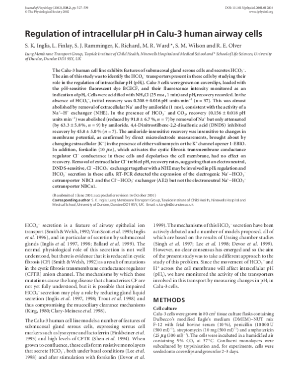 (PDF) Regulation of intracellular pH in Calu-3 human airway cells