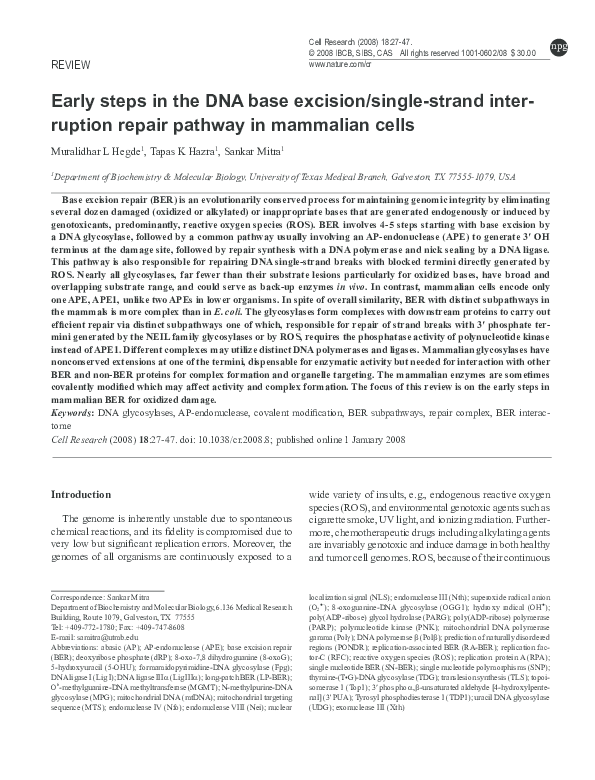 (PDF) Early steps in the DNA base excision/single-strand interruption ...