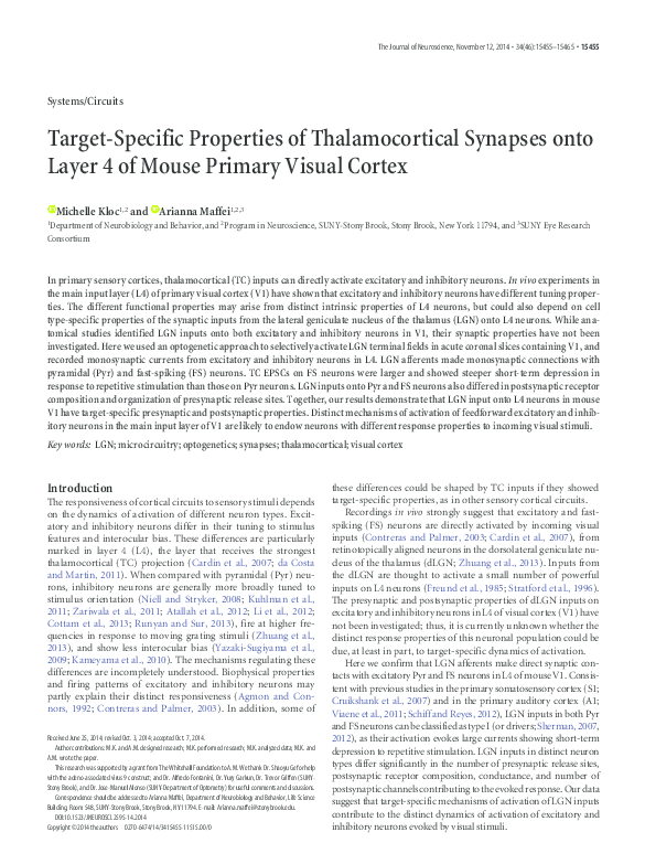 (PDF) Target-specific properties of thalamocortical synapses onto layer 4 of mouse primary ...