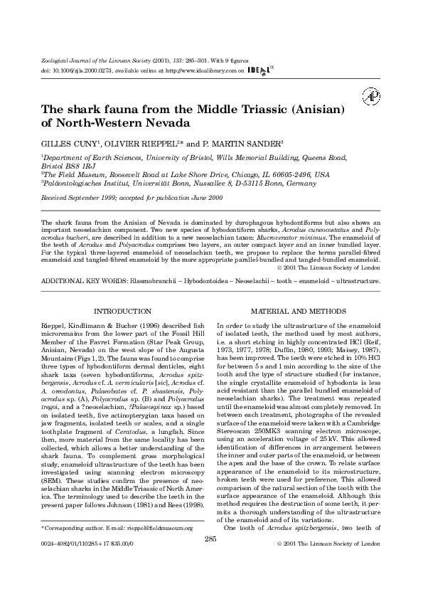 (PDF) The shark fauna from the Middle Triassic (Anisian) of North ...