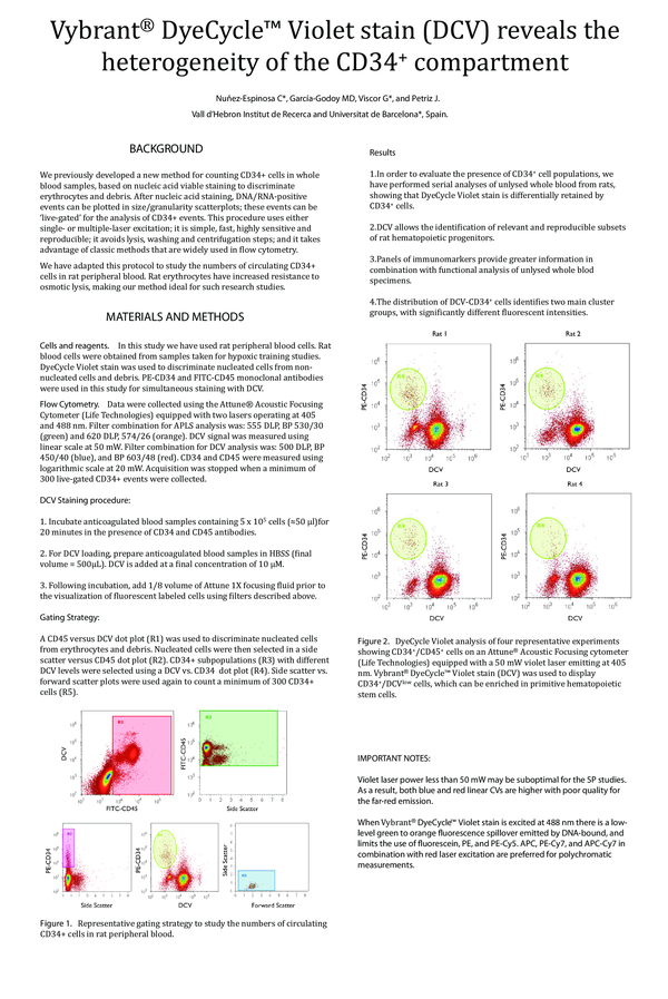 (PDF) Vybrant ® DyeCycle™ Violet stain (DCV) reveals the heterogeneity ...