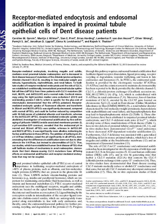 (PDF) Receptor-mediated endocytosis and endosomal acidification is ...