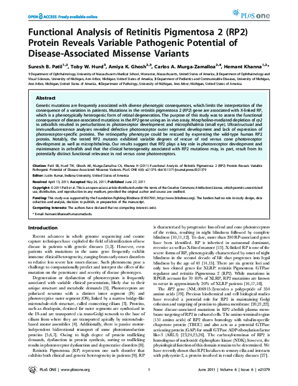(PDF) Functional Analysis of Retinitis Pigmentosa 2 (RP2) Protein ...
