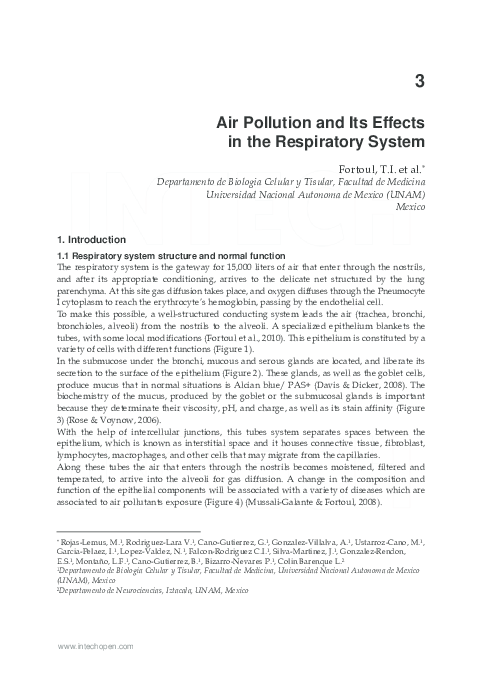 (PDF) Air Pollution and Its Effects in the Respiratory System