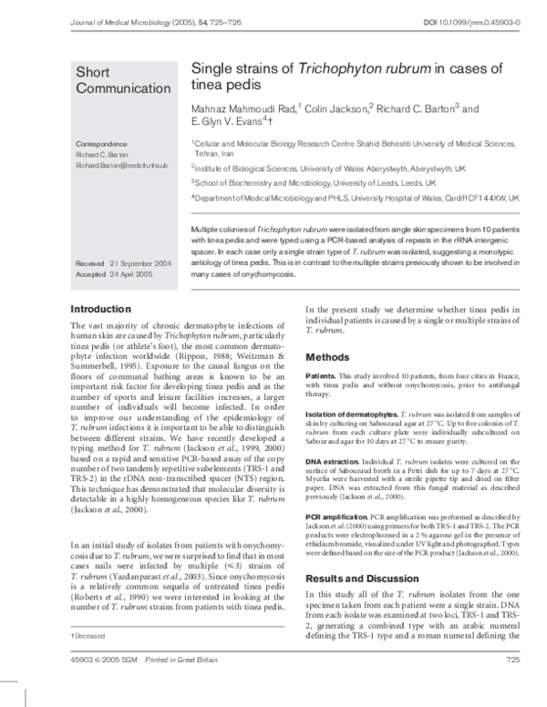 (PDF) Single strains of Trichophyton rubrum in cases of tinea pedis ...