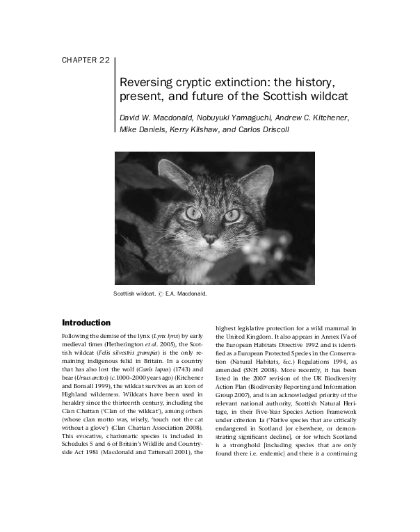 (PDF) The Scottish wildcat: On the way to cryptic extinction through ...