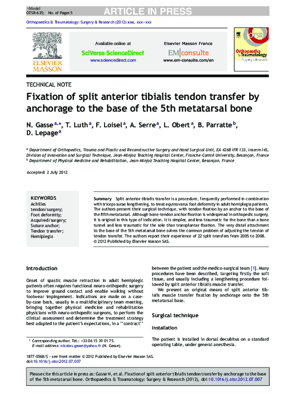 (PDF) Fixation of split anterior tibialis tendon transfer by anchorage ...