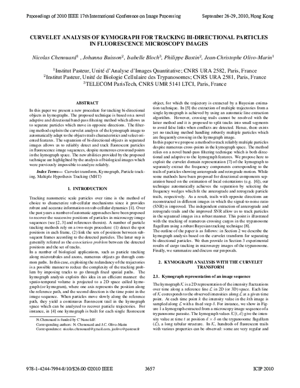 (PDF) Curvelet analysis of kymograph for tracking bi-directional particles in fluorescence ...