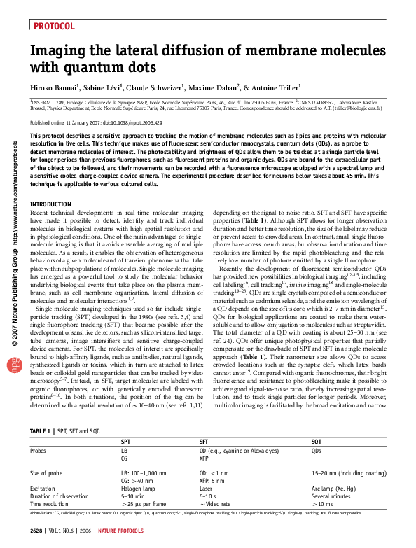 (PDF) Imaging the lateral diffusion of membrane molecules with quantum dots