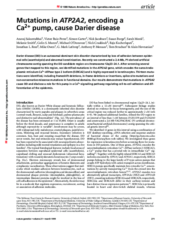(PDF) Mutations in ATP2A2, encoding a Ca2+ pump, cause Darier disease