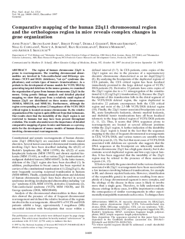 (PDF) Comparative Mapping of the Human 22Q11 Chromosomal Region and the ...