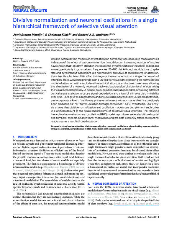 (PDF) Divisive Normalization and Neuronal Oscillations in a Single Hierarchical Framework of ...