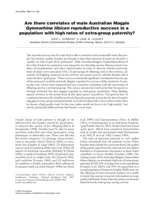 (PDF) Are there correlates of male Australian Magpie Gymnorhina tibicen ...