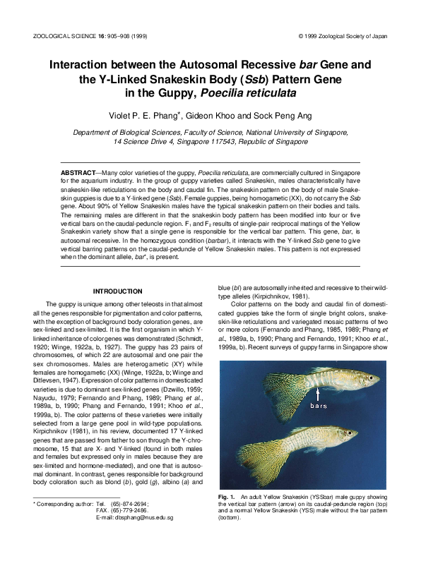 (PDF) Interaction between the Autosomal Recessive bar Gene and the Y ...