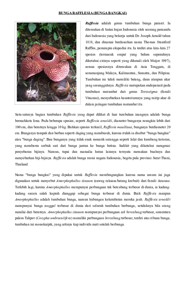(DOC) BUNGA RAFFLESIA